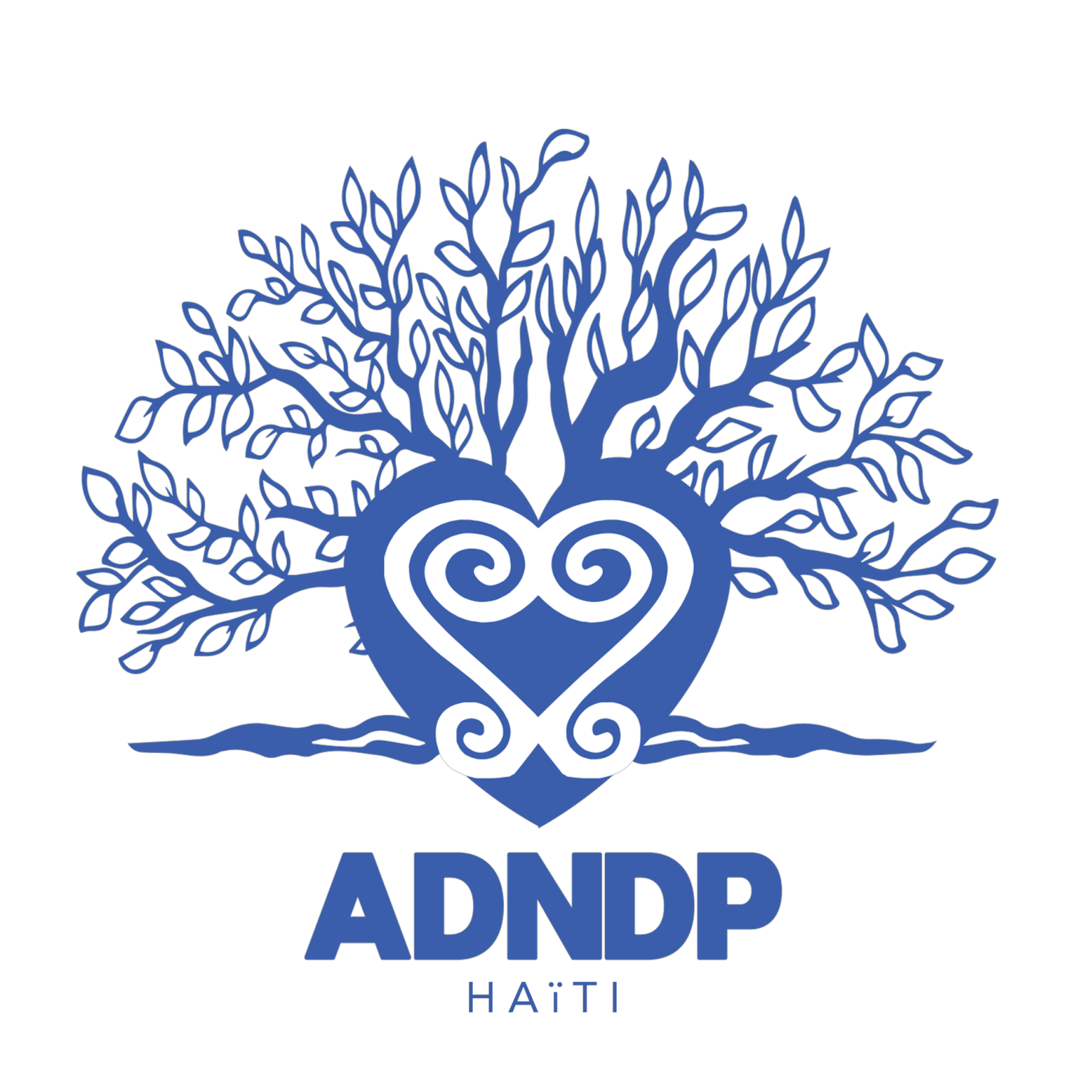 Adndp Haiti